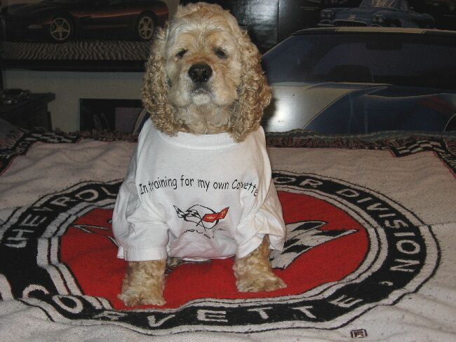 SCCC Mascot Buddy's C 5 - Copy.jpg | Canadian Corvette Forums