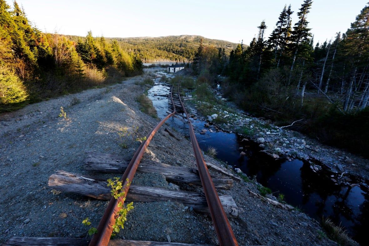 trinity-train-loop-amusement-park.jpg | Canadian Corvette Forums